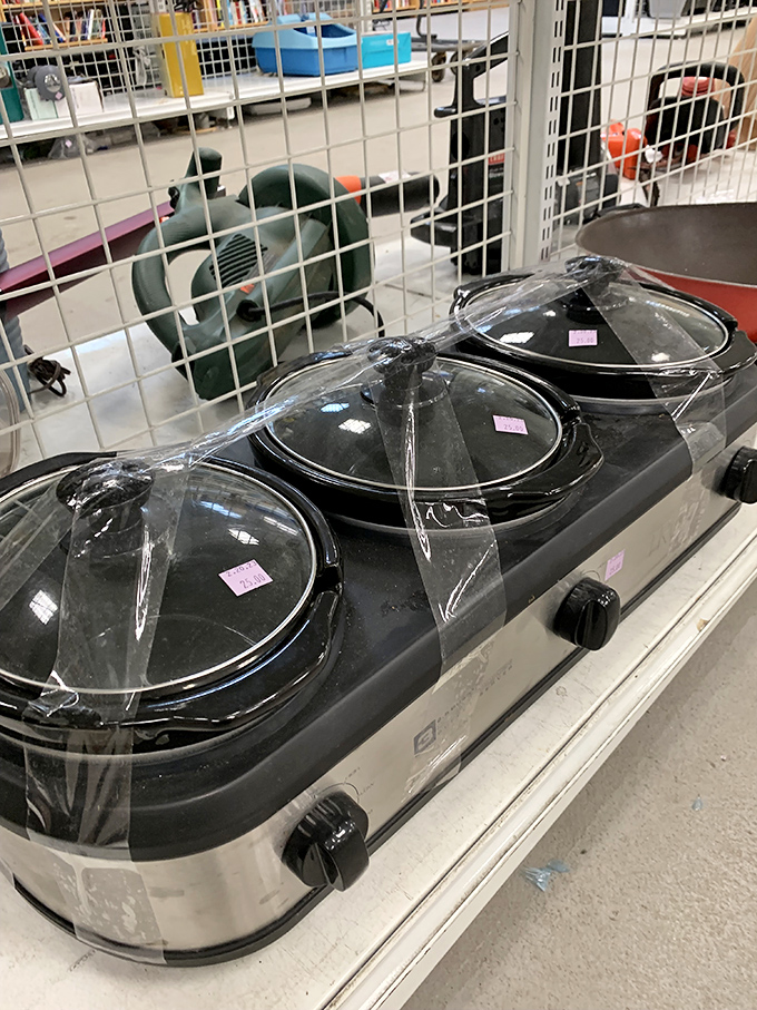 Slow cookers lined up like hopeful contestants on a cooking show, each ready to transform your Tuesday night dinner from mundane to magnificent.