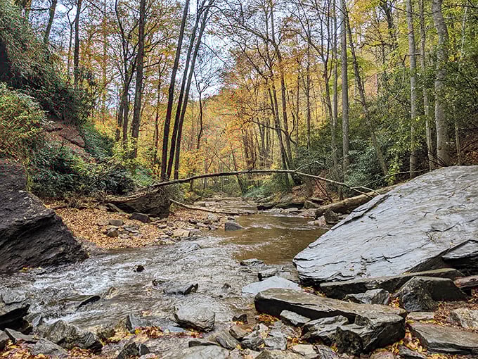 Downstream from the main event, the creek continues its journey through a landscape that looks like it was designed by the art director of "The Lord of the Rings." 