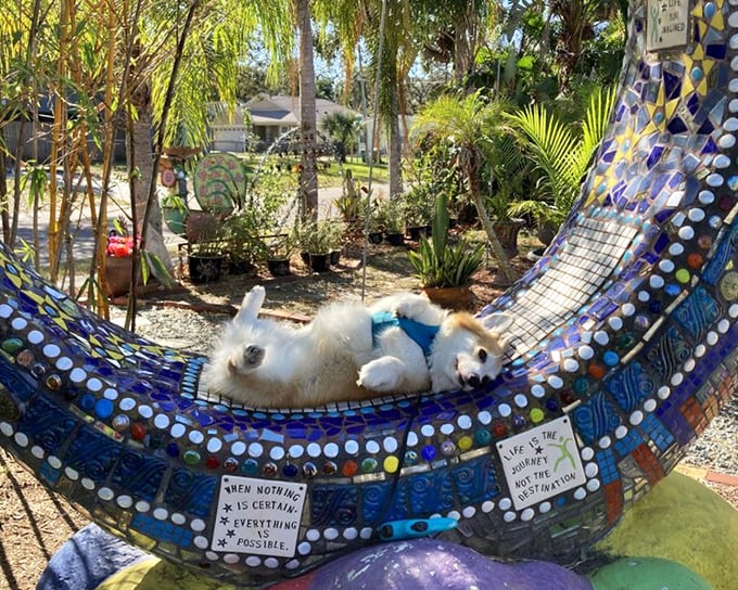 A hammock fit for a storybook character! Even the stuffed animal looks like it's thinking, "This is the weirdest vacation ever."