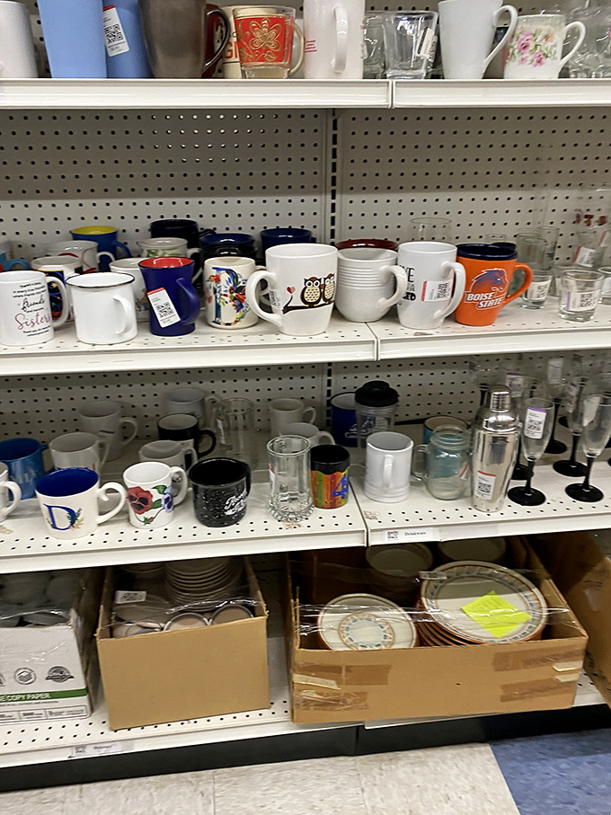 Mugs of every shape, size, and personality line the shelves. Each one previously held someone's morning coffee ritual before finding its way here.