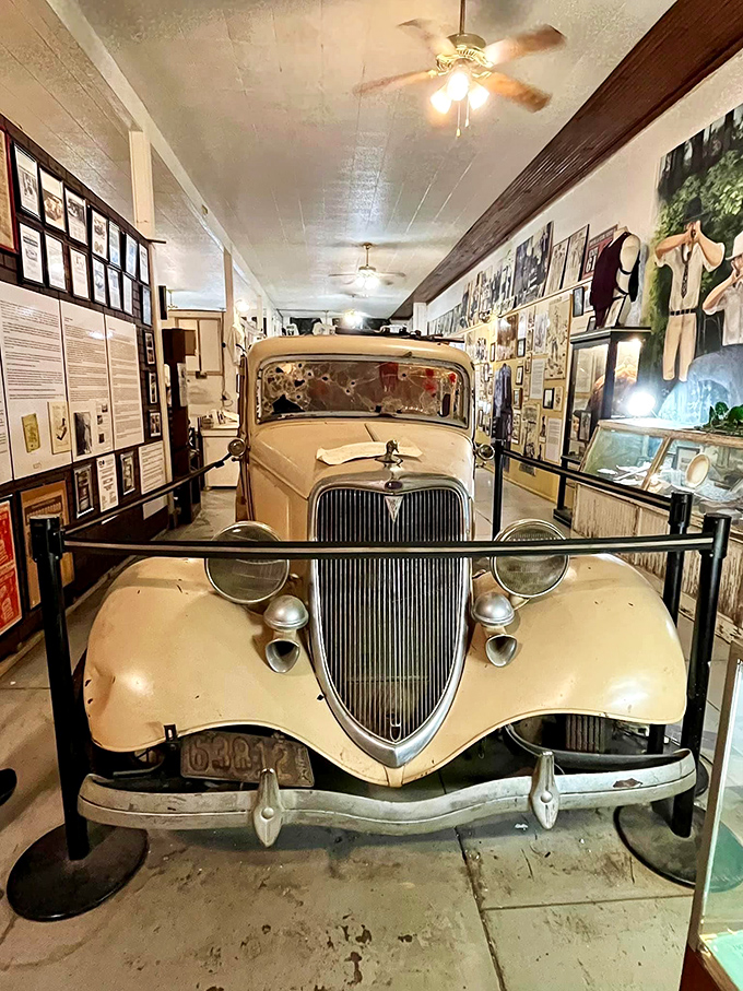The cream-colored Ford V8 stands as the centerpiece exhibit &ndash; a tangible connection to the couple's final ride and America's fascination with outlaw culture. 