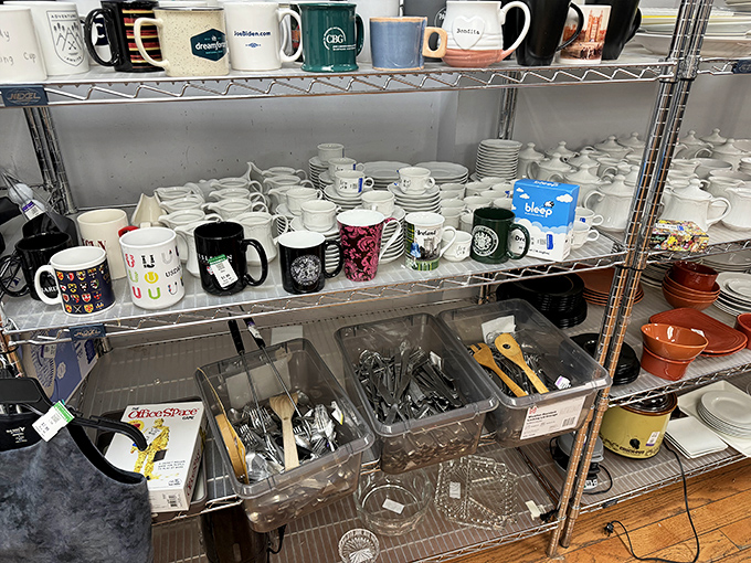 Mug collectors, rejoice! A ceramic menagerie where every coffee vessel has character and your morning brew gets an upgrade for pocket change.