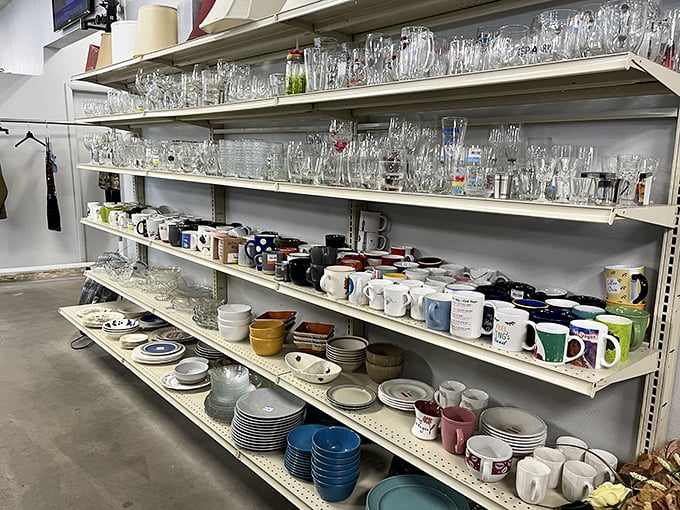 Glassware that catches light like diamonds next to mugs with slogans from another era. One person's "World's Best Boss" is another's ironic breakfast companion.