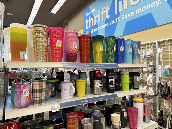 Colorful tumblers stand at attention like a thrifty United Nations of hydration. Your kitchen cabinet's delegates are waiting to be appointed.