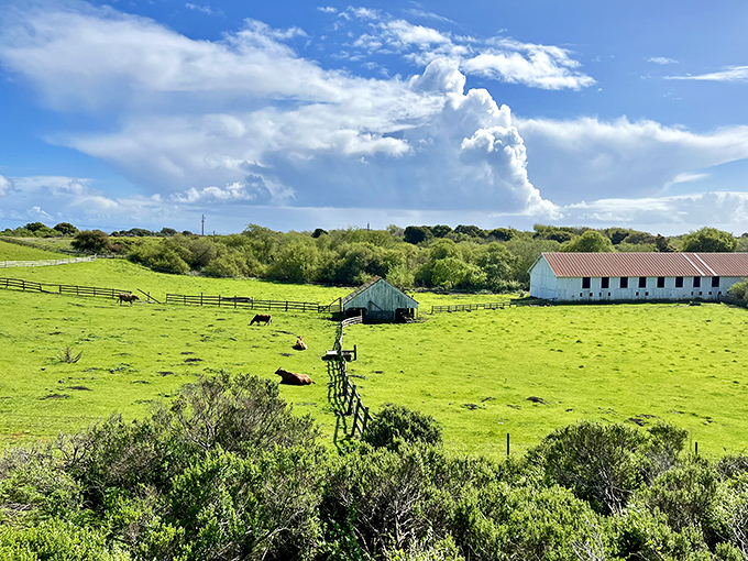Pastoral perfection with an ocean backdrop&mdash;like someone took your childhood storybook farm and gave it prime coastal real estate.