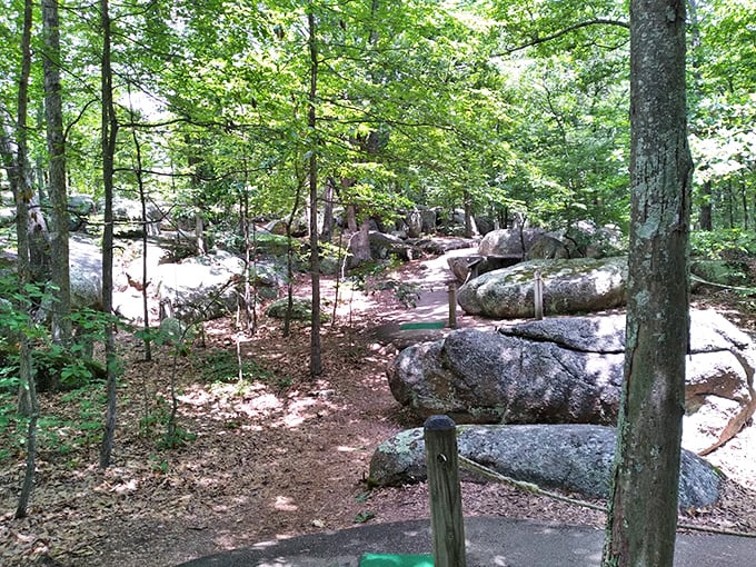 Ancient boulders dot the forested landscape, remnants of the area's volcanic past. These geological giants have witnessed over a billion years of Earth's history.
