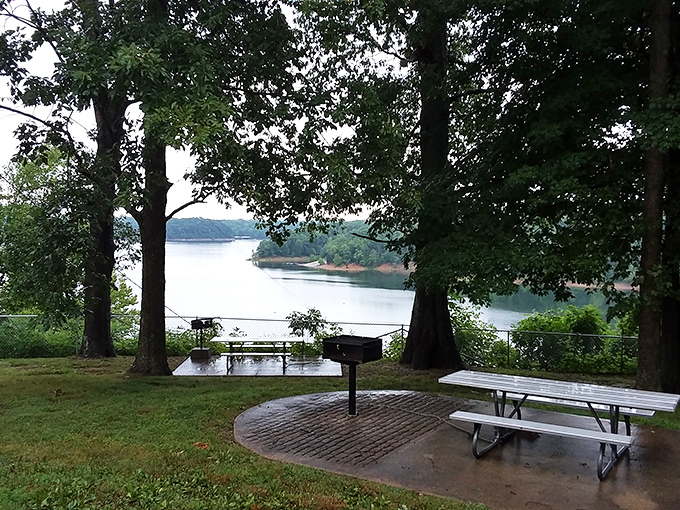Picnic tables with a view that beats any five-star restaurant's ambiance. Trees provide the canopy, lake provides the entertainment.