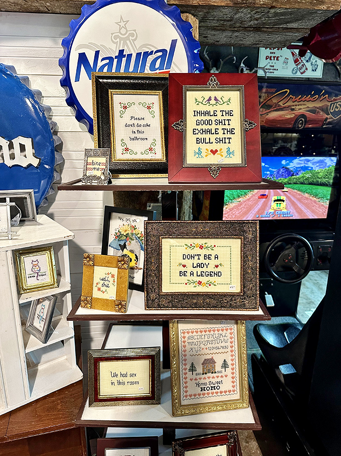 Subversive cross-stitch wisdom that your grandmother never taught you, framed for posterity and guaranteed conversation starters.