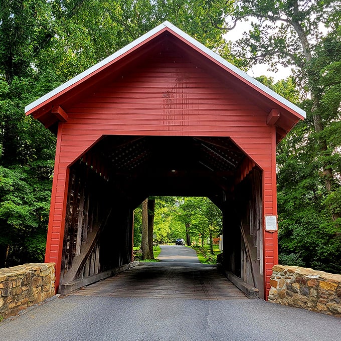 This straight-on view showcases why covered bridges have been stealing hearts since long before Instagram made everything photogenic.