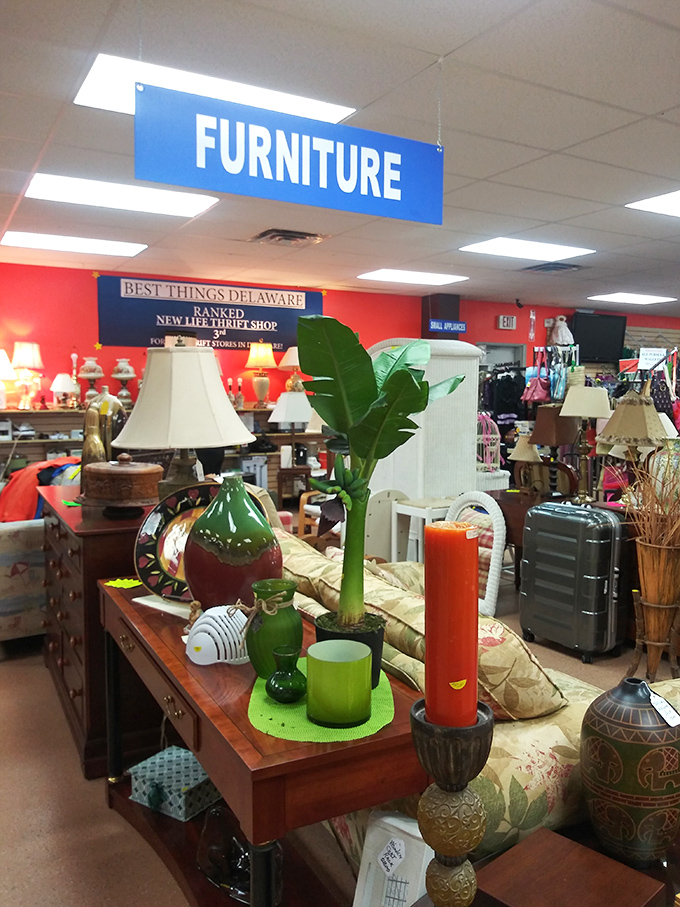 The furniture section sprawls like a showroom, minus the aggressive salespeople and astronomical markups.