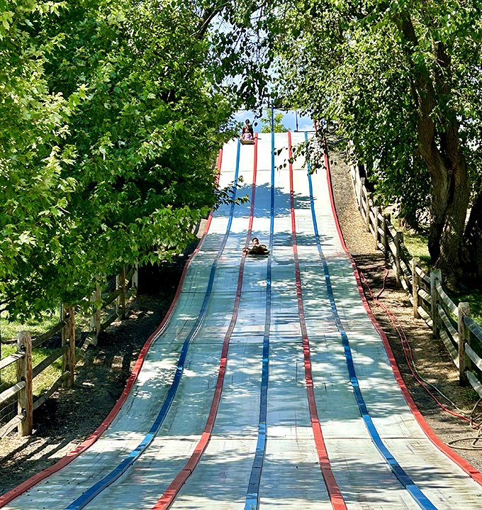 Whoosh! The giant slide offers thrills without requiring you to update your will. Gravity is still the best ride designer in the business.