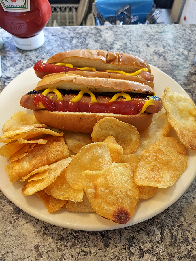 These aren't just hot dogs—they're happiness in a bun, with mustard zigzagged like modern art and chips crisp enough to make a satisfying soundtrack.