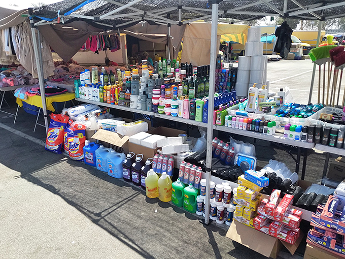 Household essentials lined up like soldiers ready for duty. From laundry soap to shampoo, everyday necessities without the supermarket markup.