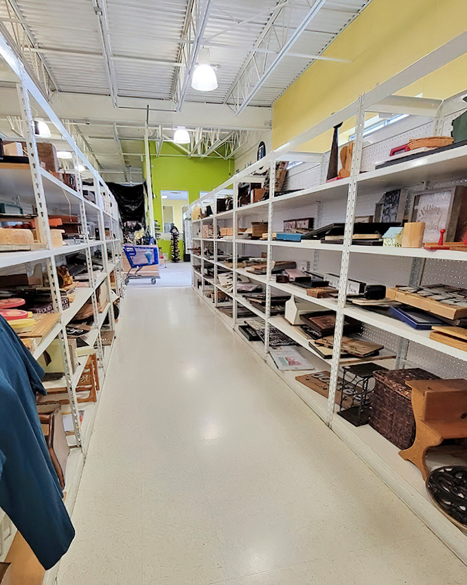 White metal shelving creates a labyrinth of possibility where household items find new purpose. The lime green accent wall adds unexpected cheer to this organized treasure trove.