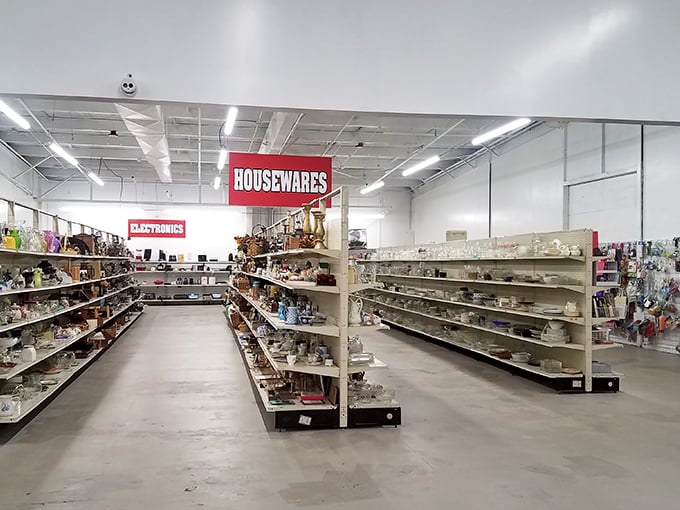 The housewares aisle&mdash;where forgotten kitchen gadgets and once-cherished china come to find their next culinary adventure. Marie Kondo's nightmare, your treasure trove!