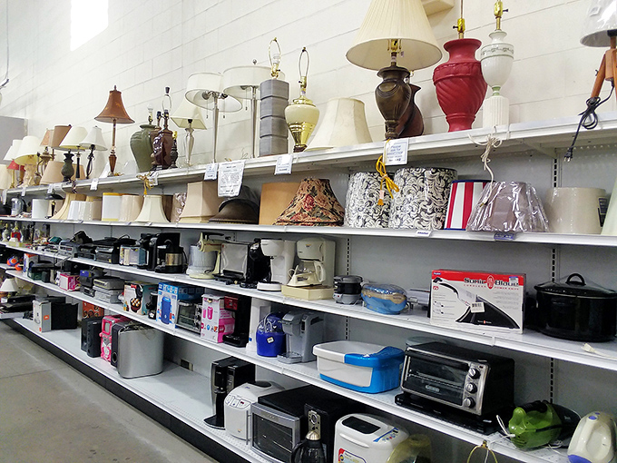 The lamp section glows with potential—from kitschy ceramic bases to elegant shades, someone's castoff is about to become your reading nook's crowning glory.