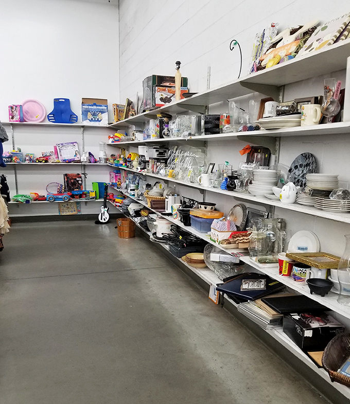 A corner of kitchen dreams where mismatched plates and forgotten gadgets find new purpose in budget-conscious homes.