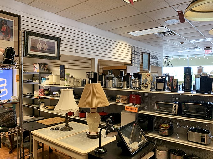 Kitchen gadgets galore! From coffee makers to toasters, this is where appliances come for their second act in the culinary theater of life.