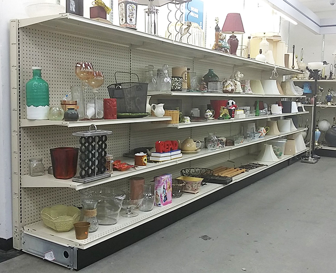 Shelves of glassware, vases, and kitchen treasures create a domestic archeological dig where yesterday's trends become tomorrow's vintage finds.