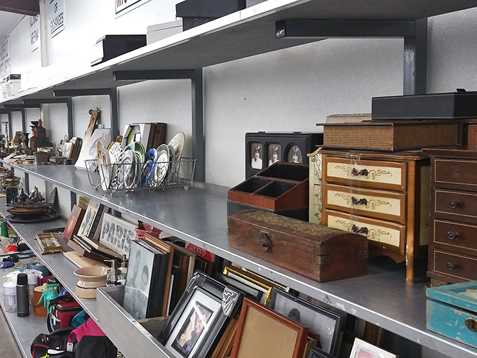 Tiny treasures and vintage curiosities line metal shelves. Those miniature wooden drawers probably once held someone's most precious trinkets or secret chocolate stash.
