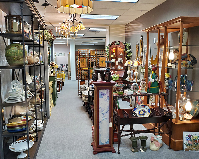 Aisles of organized chaos create the perfect treasure hunt &ndash; somewhere between these shelves is the missing piece to someone's collection.