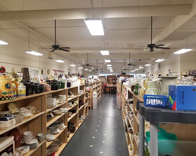 Aisles of possibility stretch before you, each shelf a new chapter in the "choose your own adventure" of thrifting.