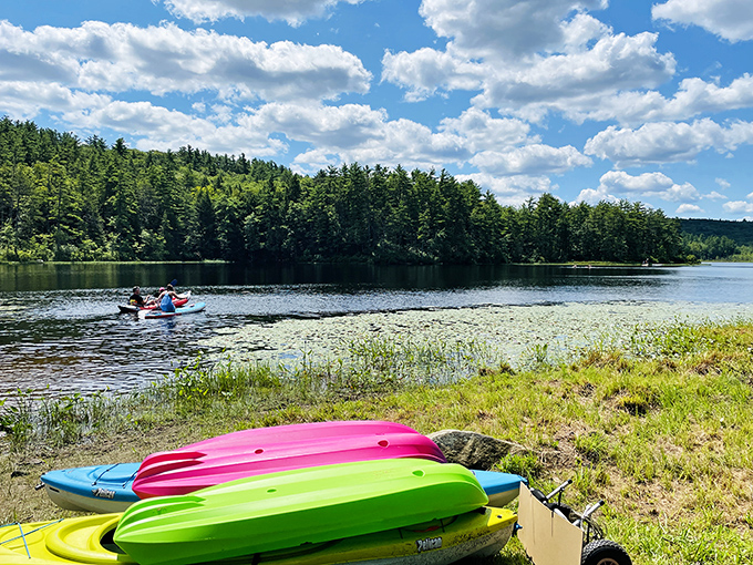 Kayaks wait patiently for their next adventure on Beaver Pond. Those vibrant colors against the blue water? Nature's way of saying "Get in, we're going paddling!"