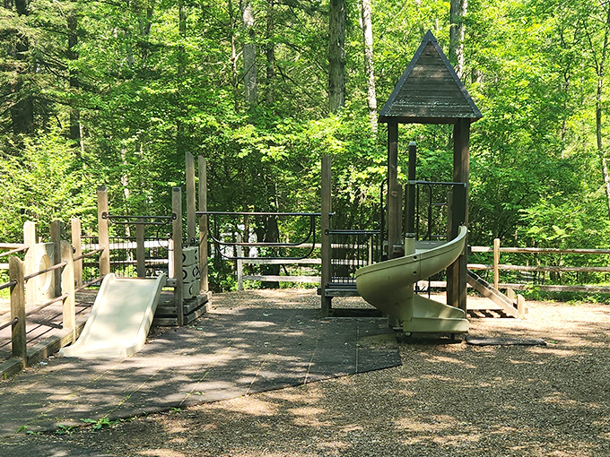 Childhood joy nestled in forest green. This playground offers the rare opportunity for kids to slide into adventure while surrounded by genuine wilderness.