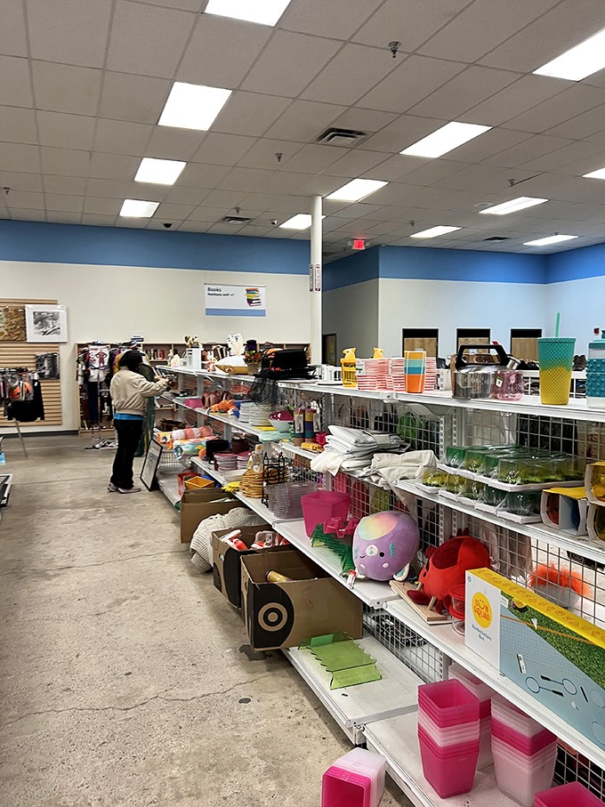 Colorful kitchen treasures await! From playful pink containers to whimsical glassware, this aisle is where practical meets personality in the most delightful way.