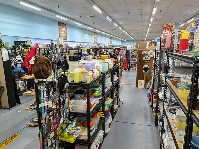 Navigate the kitchenware jungle where yesterday's must-haves become today's conversation pieces, all at prices that won't cook your budget.