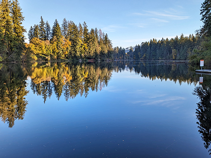 When the trees and sky perform their morning mirror dance on still waters, even the fish pause to appreciate the show.