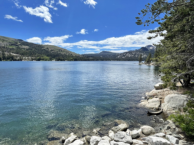 Crystal clear alpine waters so pristine you can count pebbles on the lake floor. Swimming here feels like cheating at life.