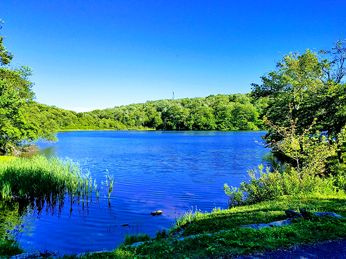 Onota Lake offers summer swimming and boating without requiring a second mortgage, just pure New England waterfront access for residents.
