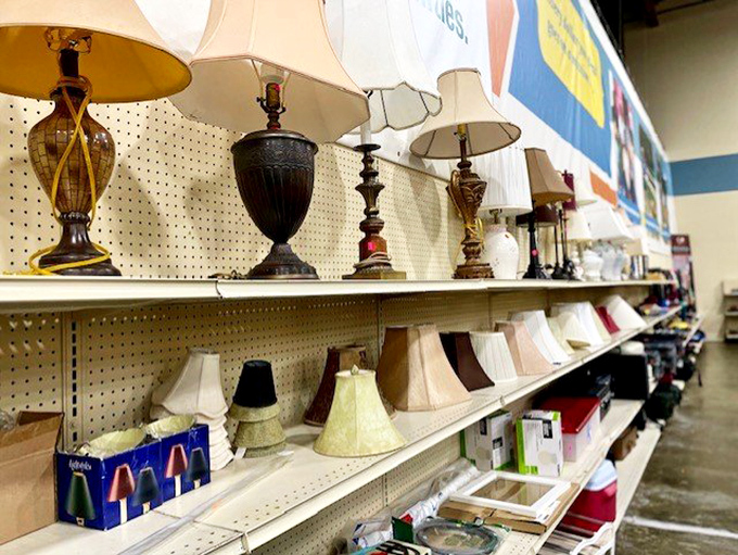 These aren't just lamps—they're conversation pieces with stories to tell. Mid-century meets vintage elegance in this illuminating collection.