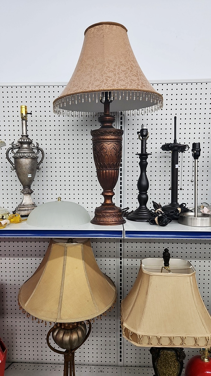 Lamp department: where lighting fixtures from different decades gather for their second act. That copper beauty could illuminate any reading nook!