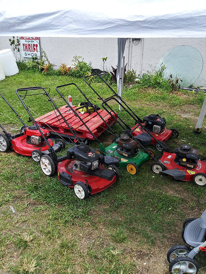 The lawn mower lineup looks like a retirement community for yard equipment&mdash;each with tales of battles against Florida's relentless growing season.