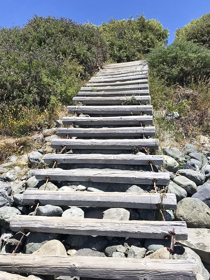 These rustic steps, weathered by salt and time, invite you to descend into a world where cell service fades but life's signal strengthens.