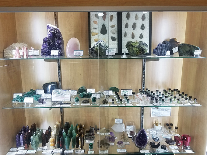 Nature's artwork displayed like edible candy. These crystals and minerals transform ordinary shelves into a geological museum worthy of exploration.