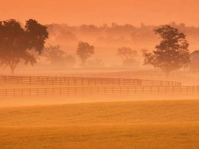 Morning mist transforms ordinary farmland into something from a dream sequence. J.R.R. Tolkien couldn't have painted a more magical scene.