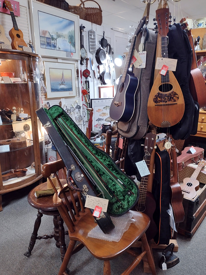 A symphony of stringed instruments awaits new maestros. That vintage mandolin probably has more stories than your uncle after three cocktails.