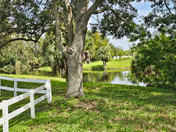 Beyond the bridge, serene waters reflect Florida's natural beauty, creating a peaceful backdrop that makes this spot perfect for contemplative moments or impromptu picnics.