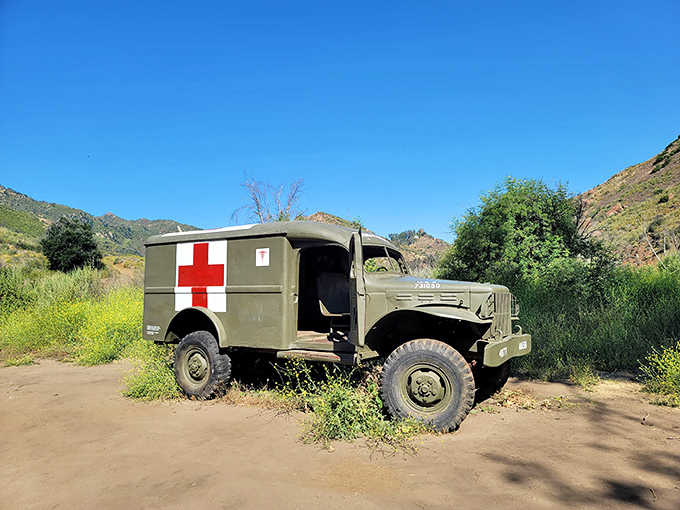 This vintage military ambulance from the MAS*H filming days still makes house calls, though now it's purely for nostalgic photo opportunities.