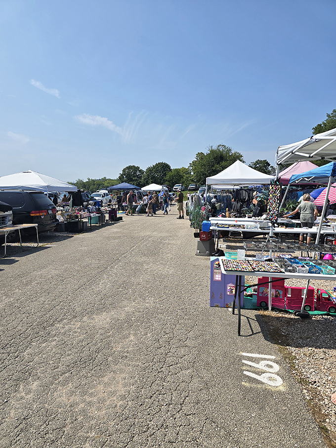 Under brilliant blue skies, weekend warriors hunt for bargains among the pop-up tents and tables of outdoor vendors.