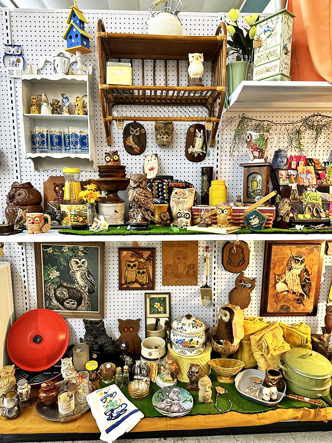 The owl section is where night birds of a feather flock together. Apparently, someone decided wisdom needed its own zip code in this mall.