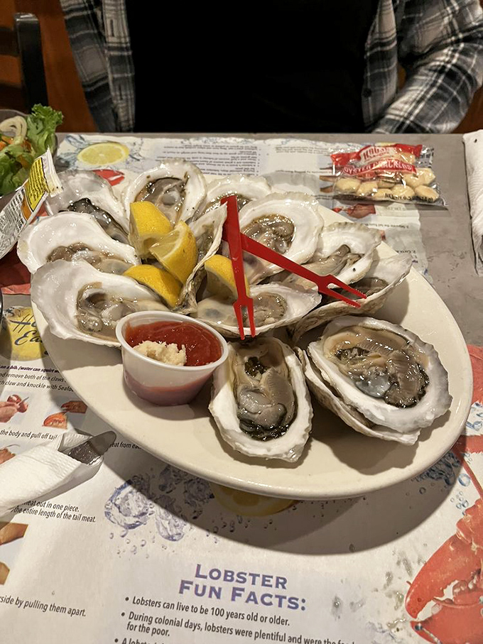 These oysters aren't just seafood&mdash;they're time capsules of Maine's pristine waters, waiting to be unlocked with a squeeze of lemon and a moment of reverence.