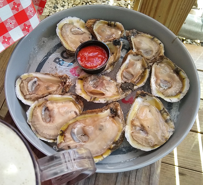 Fresh oysters on the half shell prove that some of life's greatest pleasures come in the most unassuming packages.