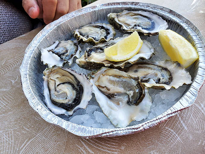 Fresh oysters on ice with lemon wedges—nature's perfect appetizer and proof that sometimes the simplest preparations yield the most profound pleasures.