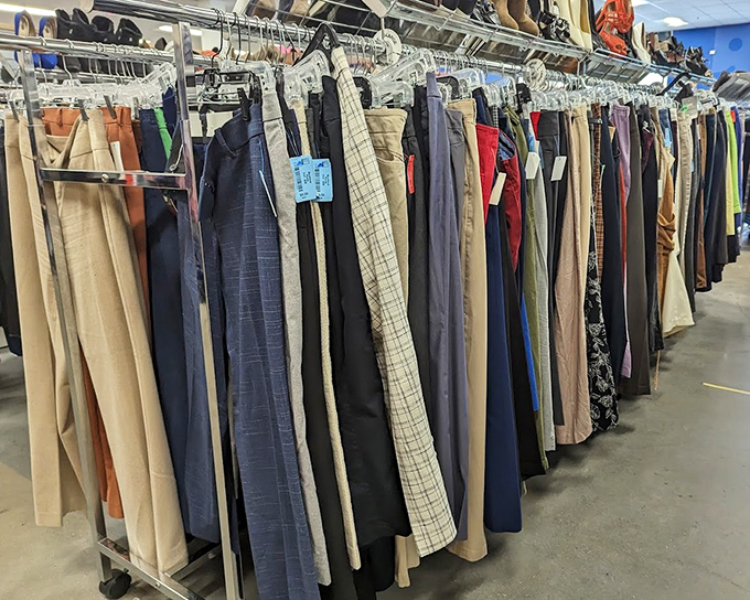 The pants parade stands at attention &ndash; a lineup of slacks that have seen boardrooms, weddings, and everything in between.