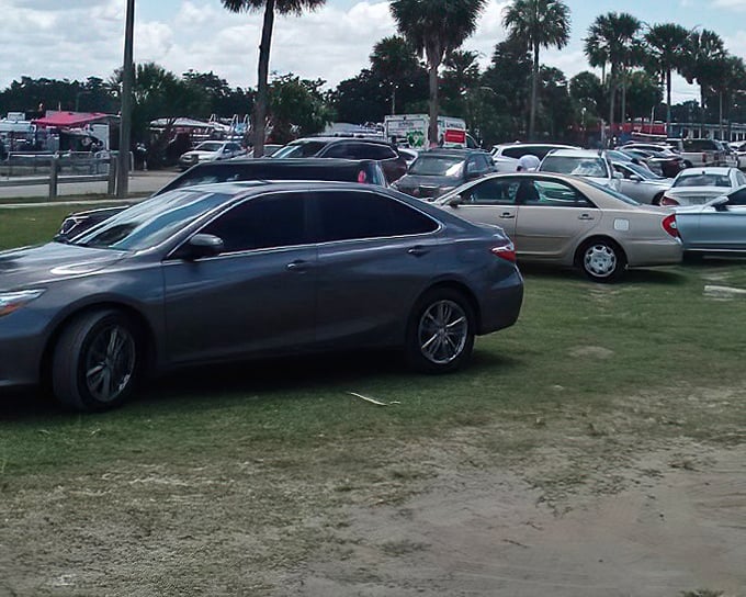 The unofficial parking lot philosophy: where there's a patch of grass, there's a parking spot. Florida ingenuity at its finest!