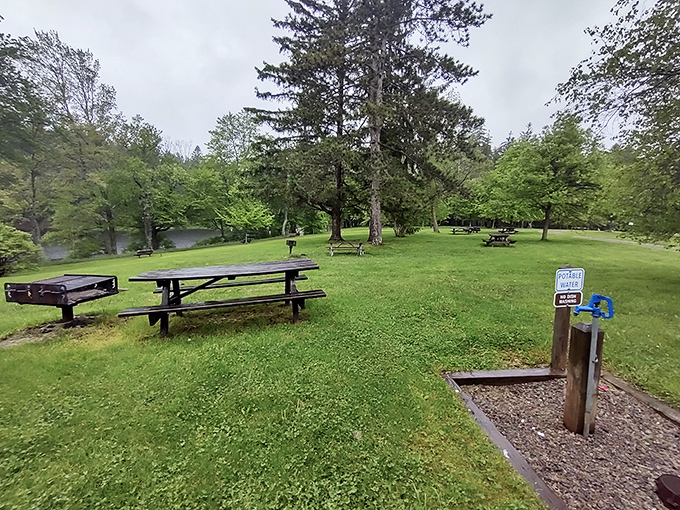 Picnic perfection awaits – these tables have hosted more family memories than most living room couches ever will.